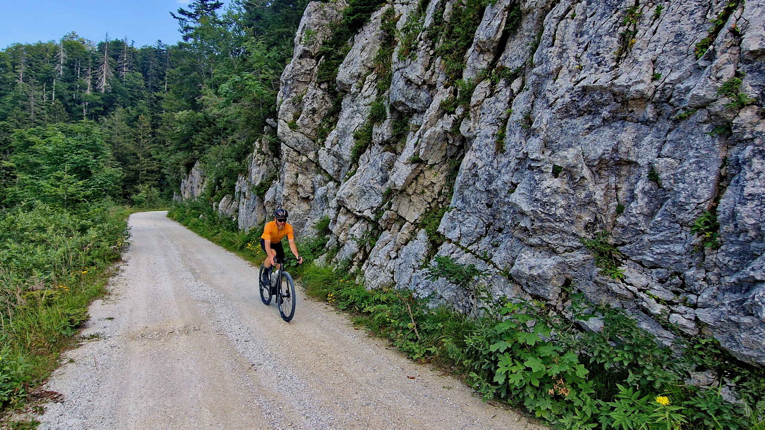 Trnovski gozd: Razgledi z vonjem po primorju - Druga Runda